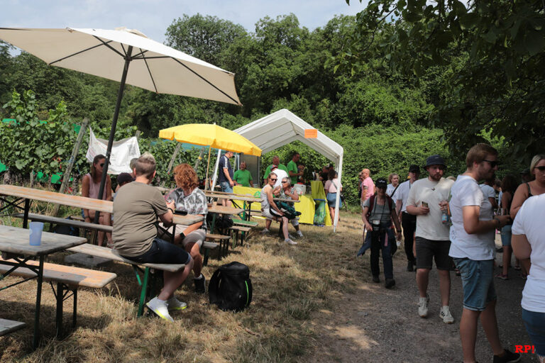 Weinwanderung in der Weinstadt Rauenberg 2023 - Rotweinwanderung am 12.03. Weinwanderung in der Weinstadt Rauenberg 2023 - Rotweinwanderung am 12.03.